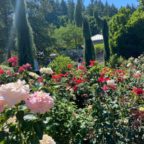 Anastasia - hana_6996 OnlyFans