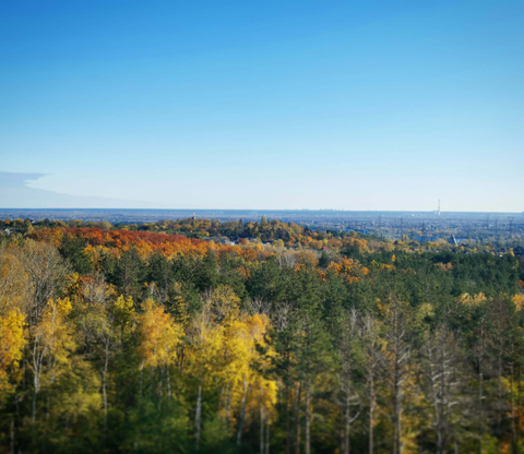 Roman Fox - romanfox1344 OnlyFans