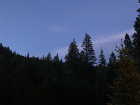 BabyLizzy - babylizzy18 OnlyFans