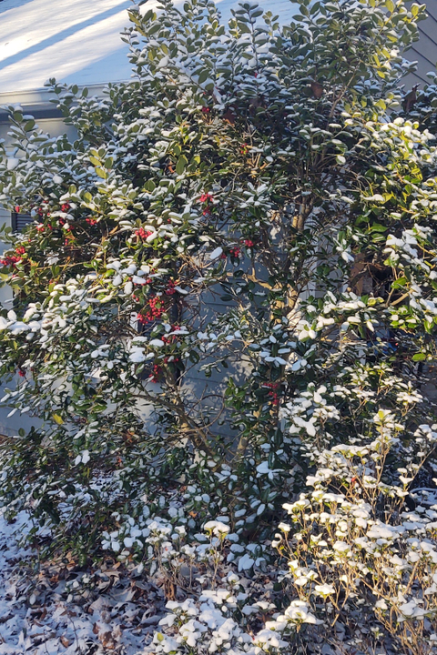 Holly - hollybranch OnlyFans