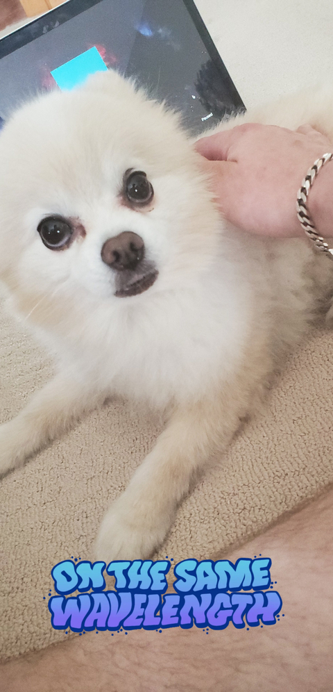 Jacob - jacobfraser OnlyFans