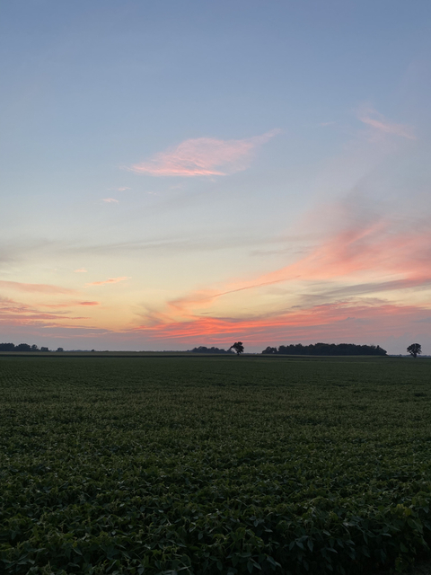 Roaming Hog - roaminghog OnlyFans