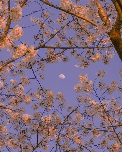 bambi OnlyFans Account - bambiluv143