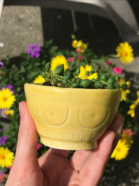 Pottery Witch - potterywitch OnlyFans