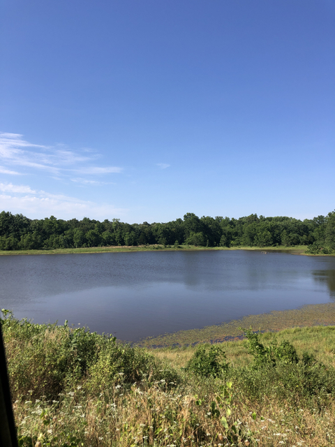 Matthew Ashcraft - redneck9003 OnlyFans