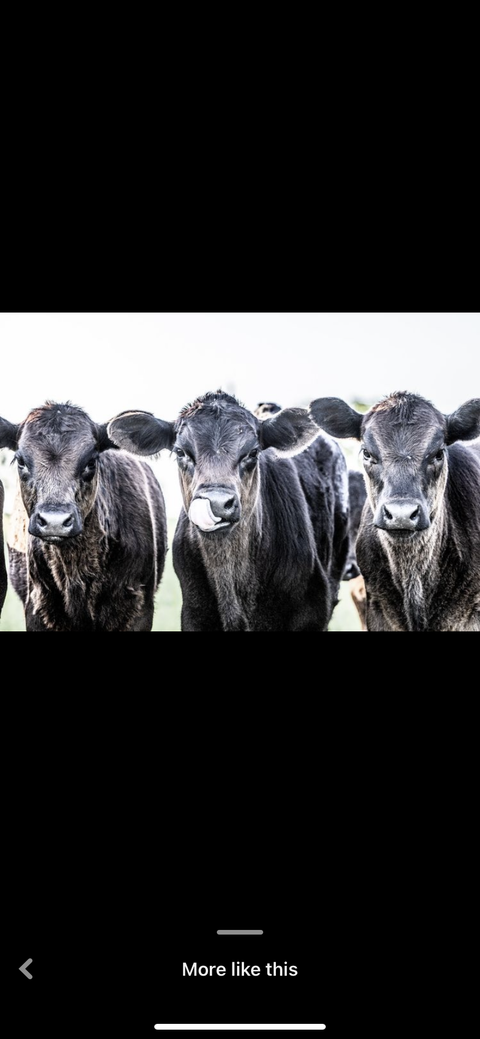 Brylee - brylee42 OnlyFans