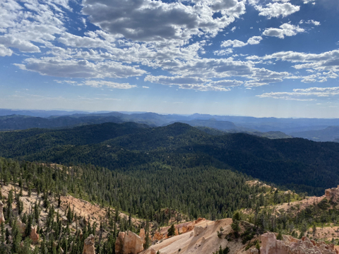 Chelsea Torrence - tittybabe420 OnlyFans