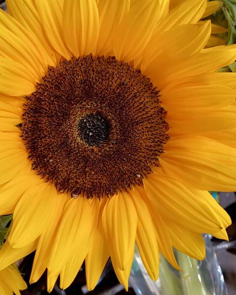 Queen M - queen_mlou OnlyFans