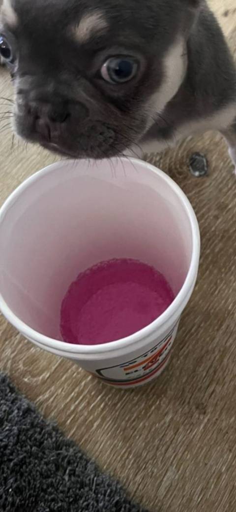 Angel - trustx OnlyFans