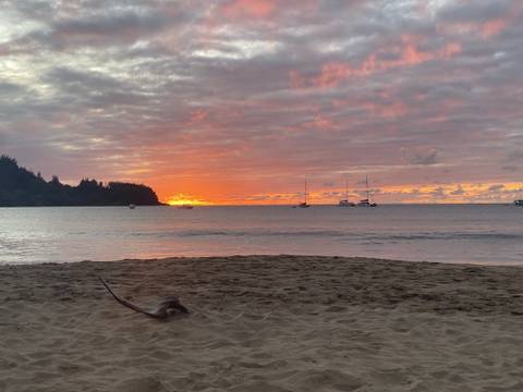 Sable B. Ember - kittenchamp OnlyFans