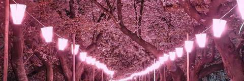 Shy - shyness_x OnlyFans