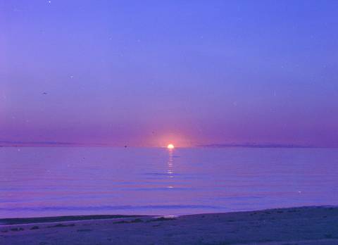 Cherry 🍒 - astral_brat OnlyFans