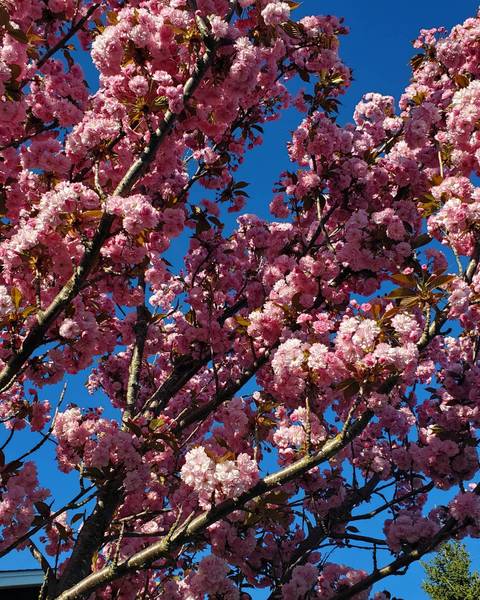 Soleil - soleil1996 OnlyFans