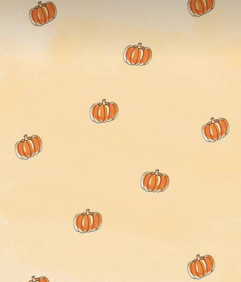 Hannah - hannah_kathleen OnlyFans