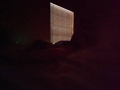 Emily Felt - emilyfelt OnlyFans