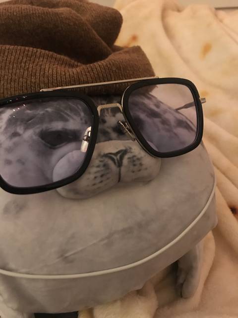 Kudge the seal - seal.kudge OnlyFans