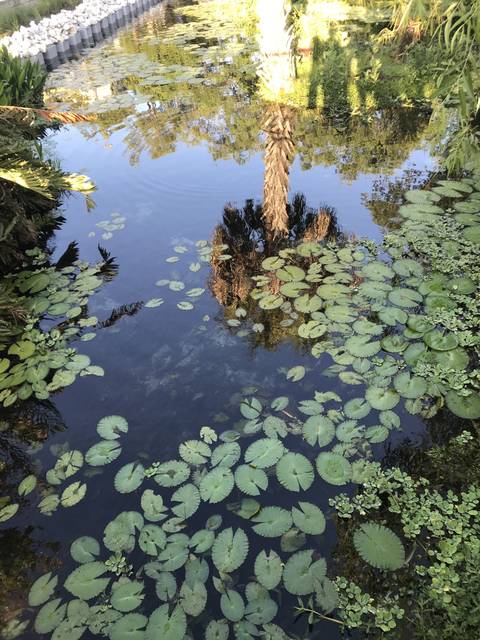 Layne Gray - ladylayne OnlyFans