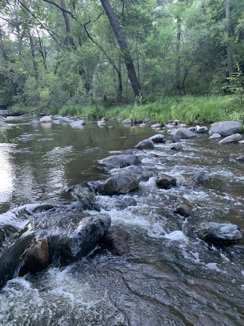 Sweet tooth snooki - sweettoothforsnooki OnlyFans