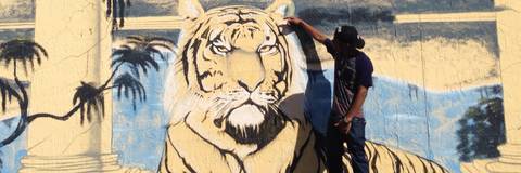 TomTom - turrrnuptom OnlyFans