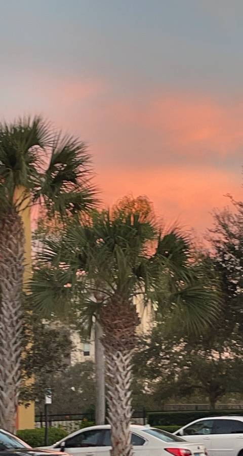 Mandi Yates - u121322631 OnlyFans