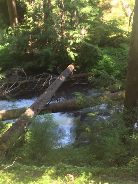 Pixie - pixie_styx OnlyFans