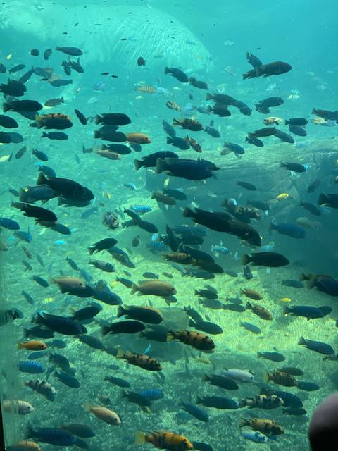 Meg - gem_30 OnlyFans