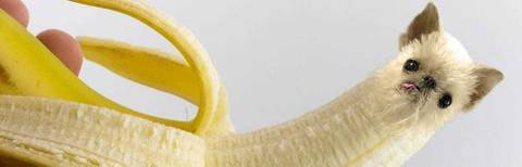 Daemon - daemonswitch OnlyFans