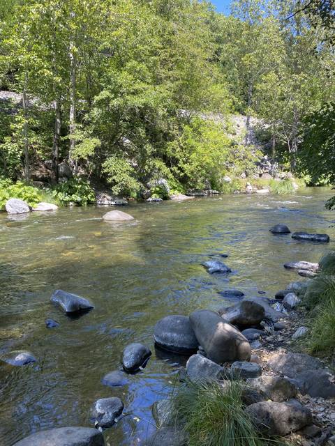 Queenvee - mysteriouslytasty OnlyFans