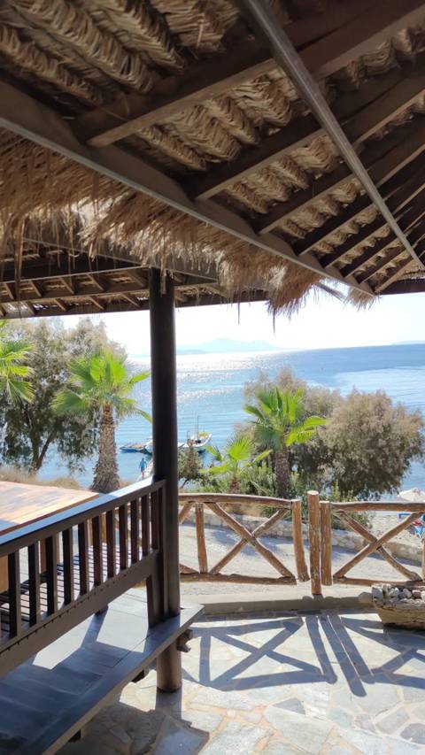 Miss Spicy - miss_spicy_69 OnlyFans