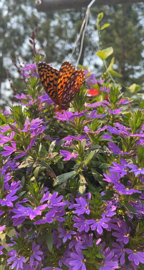 Britt Babe - monster_eminem3 OnlyFans