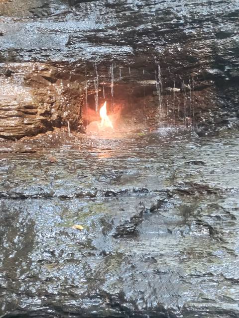 Alice Wright - alice.wright96 OnlyFans