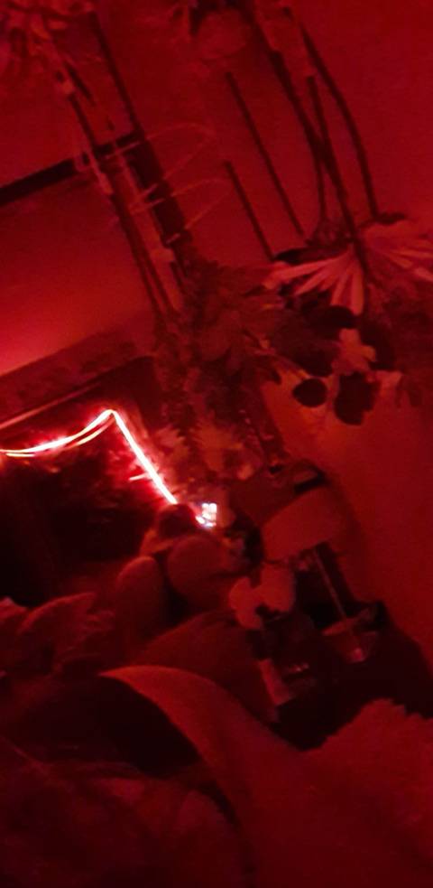 Isabella Dodds - bella_boo_14 OnlyFans