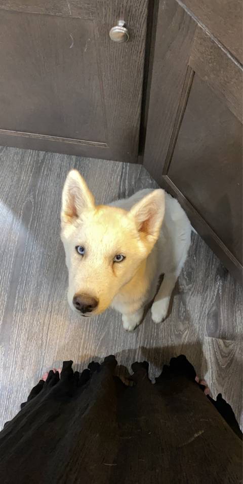 Sami Howard - fltransplant2020 OnlyFans