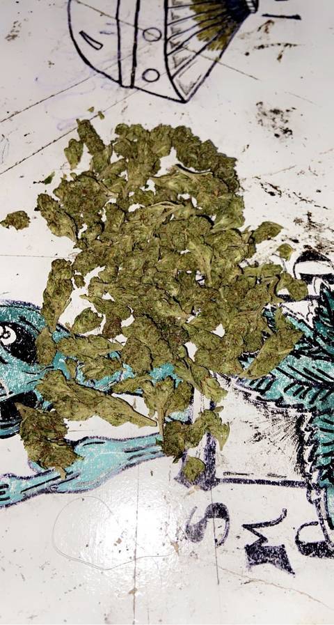 Gassed Out Princess - gassedoutprincessxoxo OnlyFans