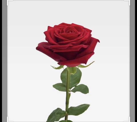 Ciara - classy_cece OnlyFans