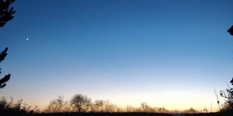 Moon Crest - mooncrest OnlyFans