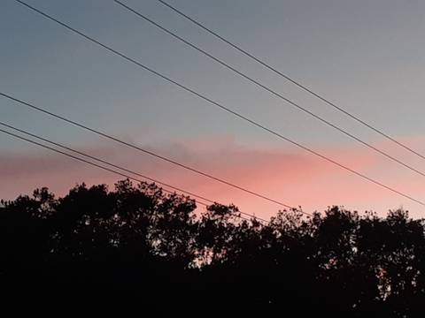 Bobby Dandelion - bobbydandelion OnlyFans