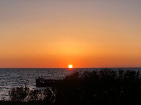 Flo - tove-florence OnlyFans