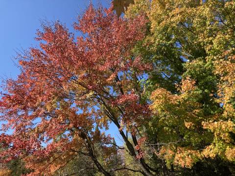 Sam - sam_weston OnlyFans